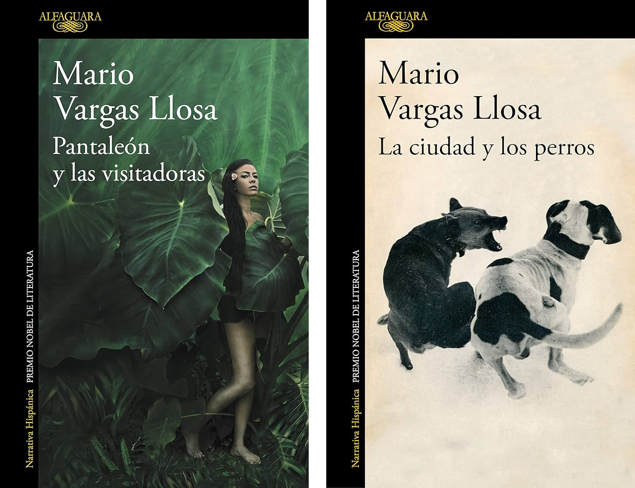 Reseña “La ciudad y los perros” de Vargas Llosa - The Lord of the Books